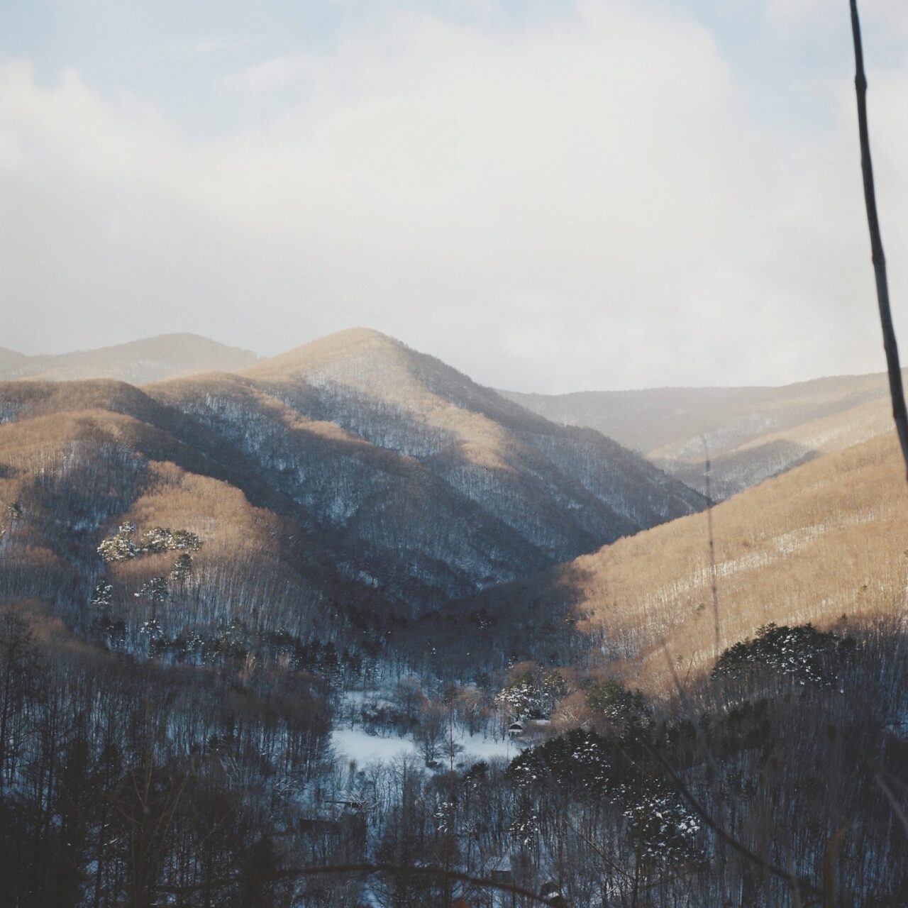 ようこそ – FIELDNOTE